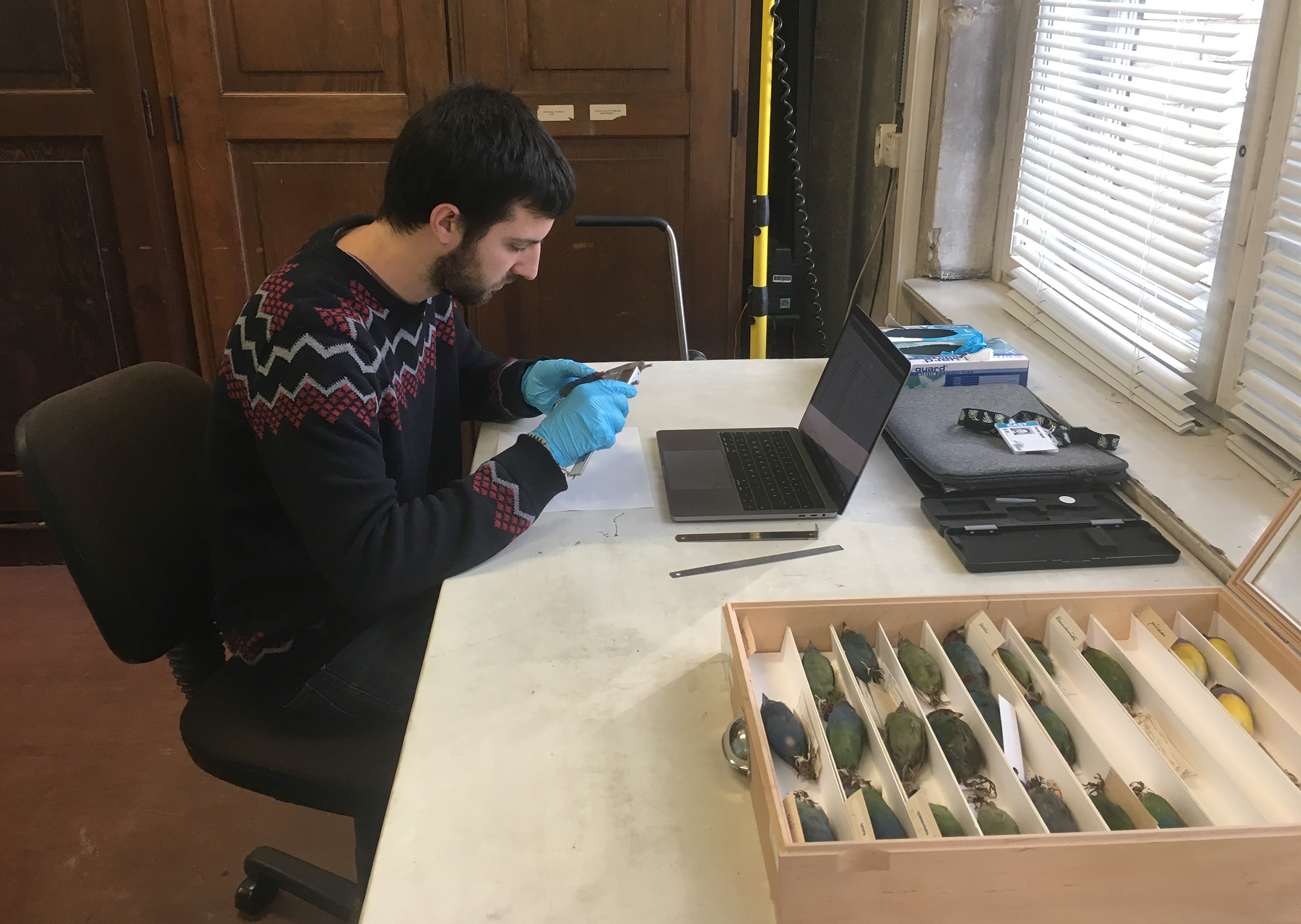 La extinción de 1300 aves en los próximos 200 años borraría roles clave en la naturaleza | CREAF